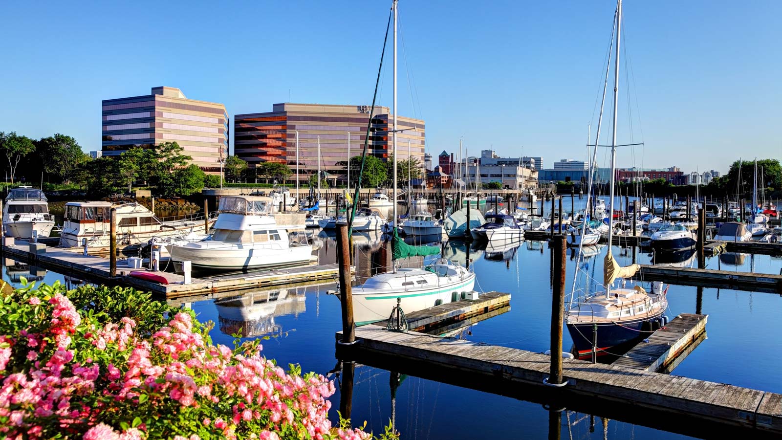 Executive Search Firm Stamford | Spencer Stuart